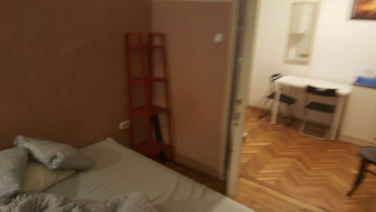 Budapest: Bugs of the Bed – Hidden Gabe